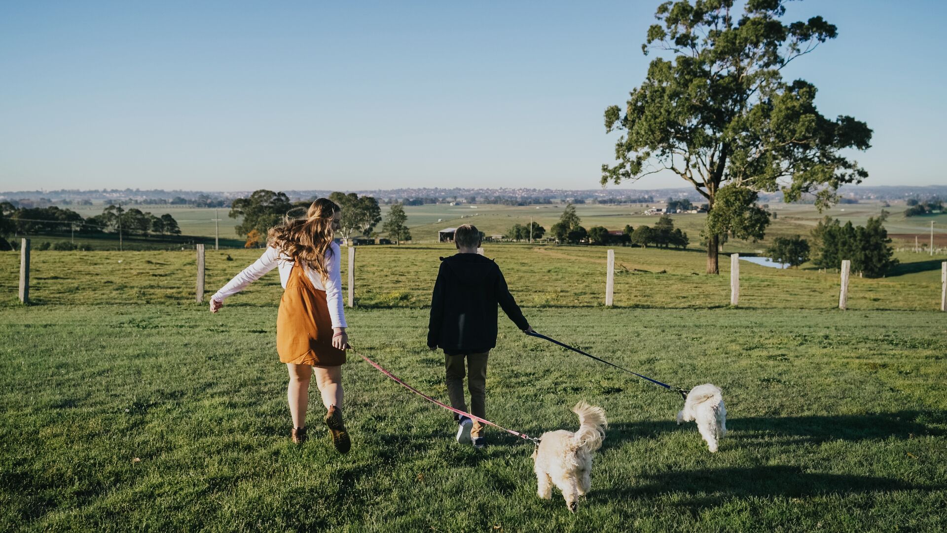 Walking tracks and local views - My Maitland