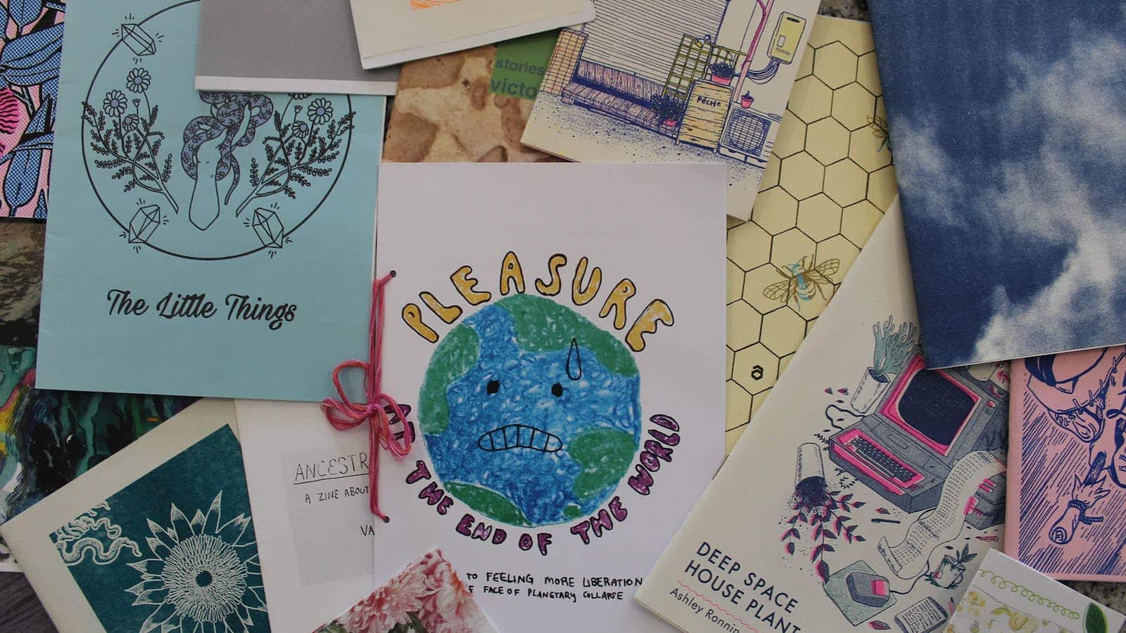 Eco Zine - My Maitland