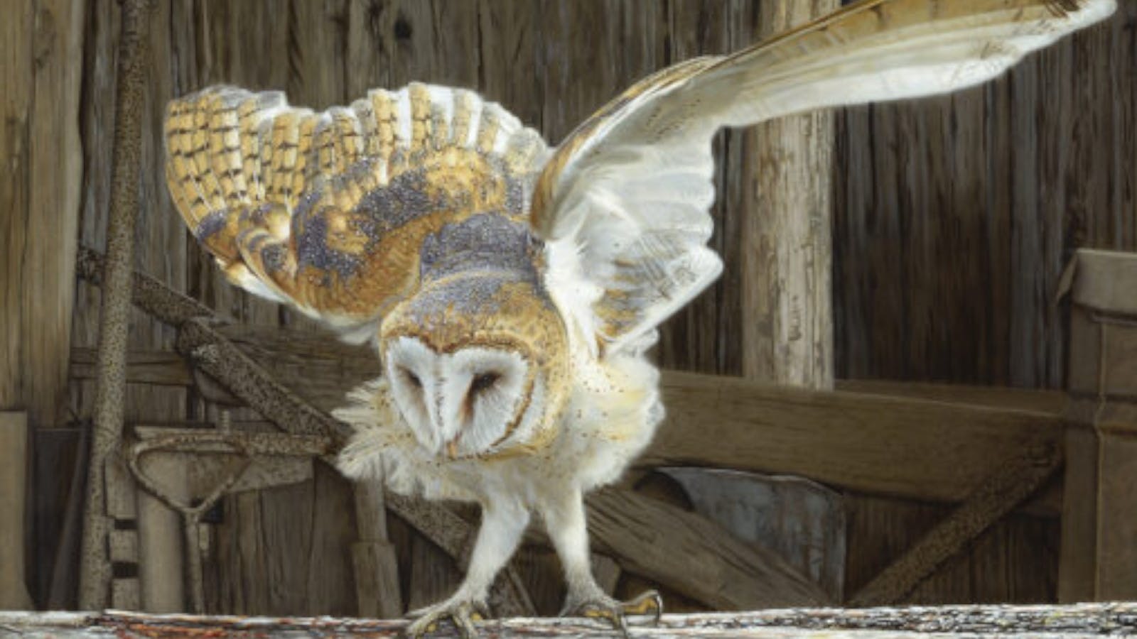 Stephen A Jesic at Morpeth Gallery - My Maitland