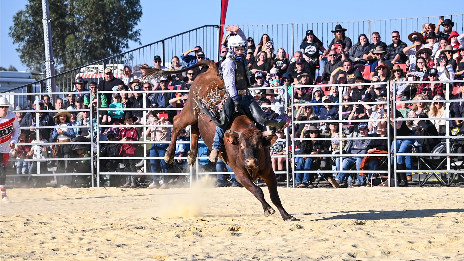 Hunter Valley Rodeo - My Maitland